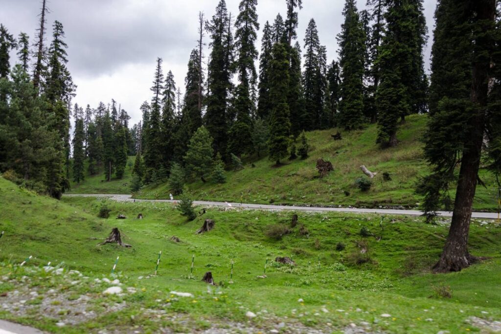 10 Best Things to Do in Gulmarg: Adventure & Sightseeing