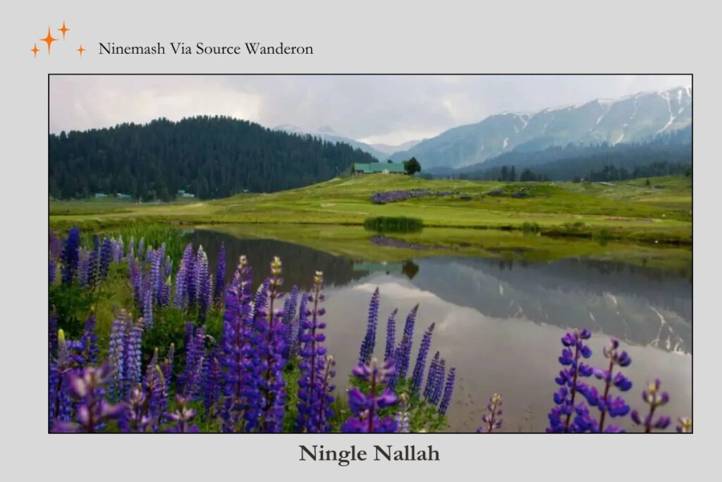 10 Best Things to Do in Gulmarg: Adventure & Sightseeing