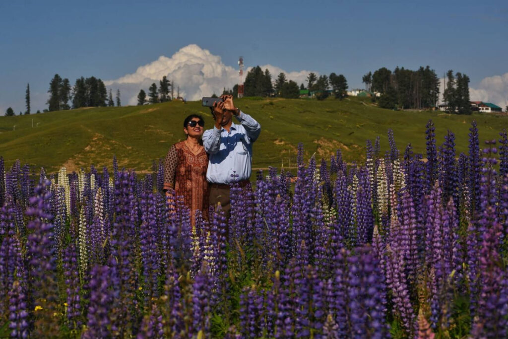 Gulmarg in June: Weather & Things to Do | Ninemash Blog