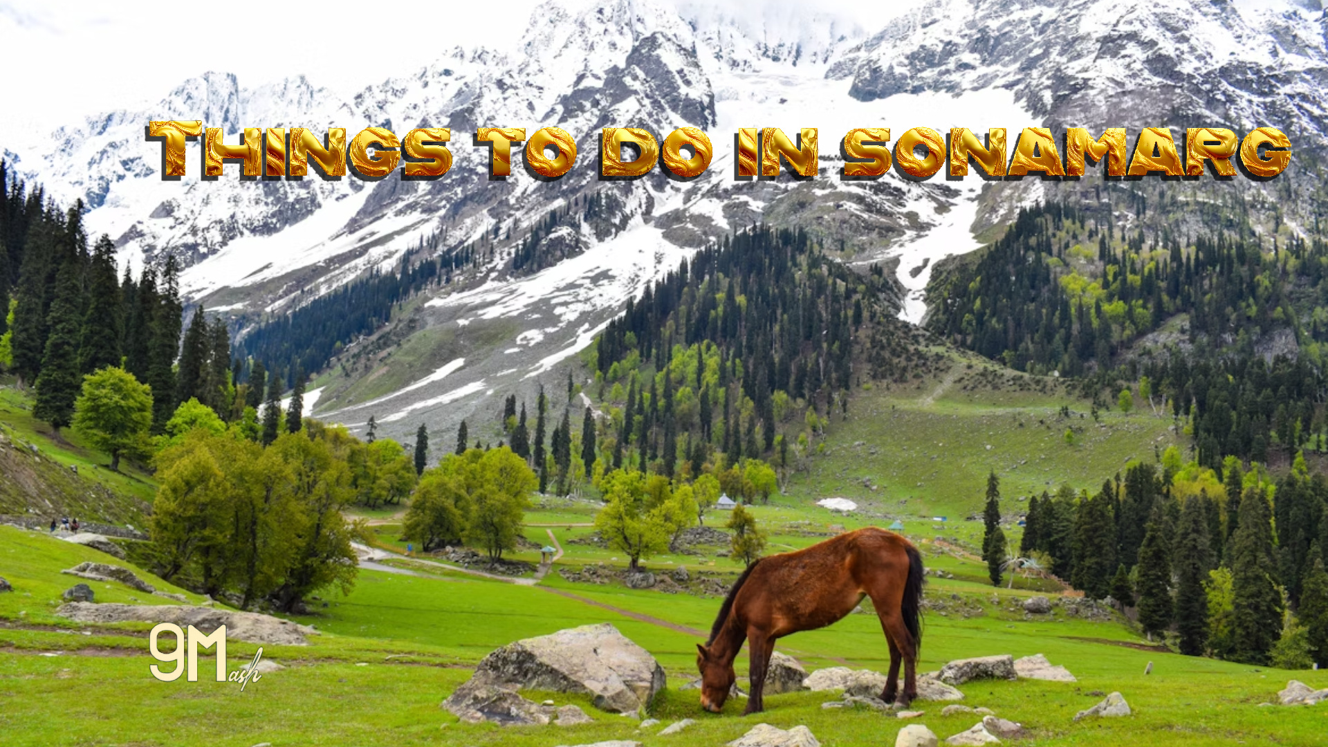Top 25 Things to Do in Sonamarg for Family, solo trips